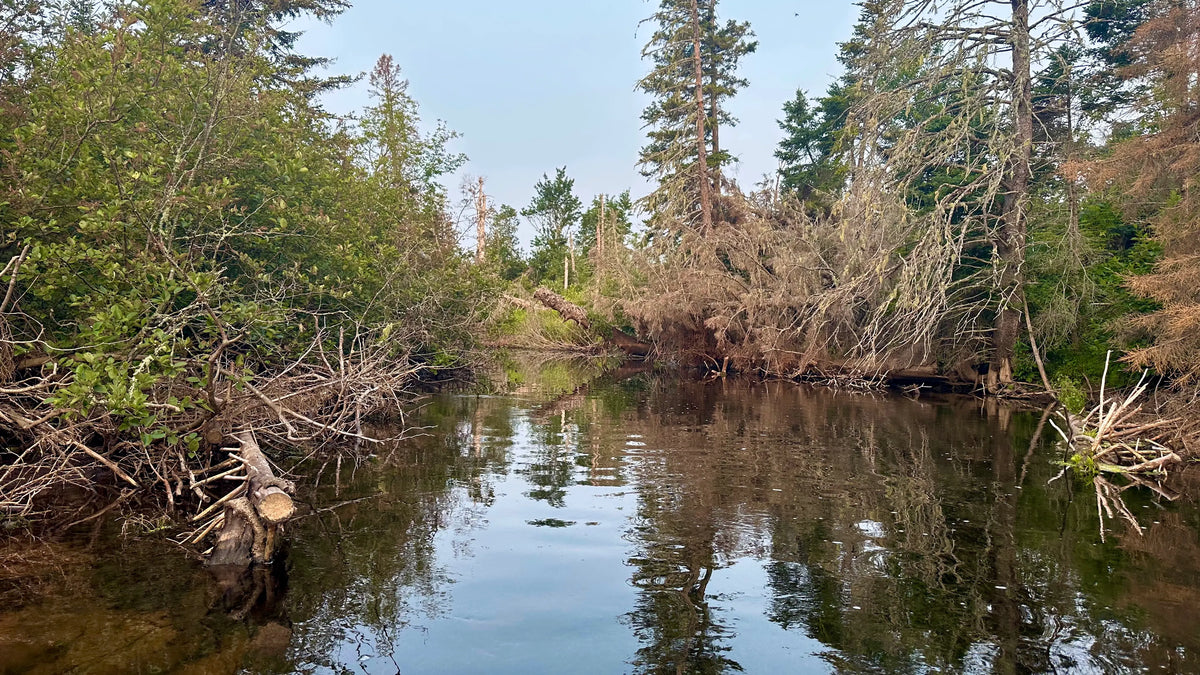 A Day on the Morell River — PEI Fishing at Its Finest – TimberAndFins
